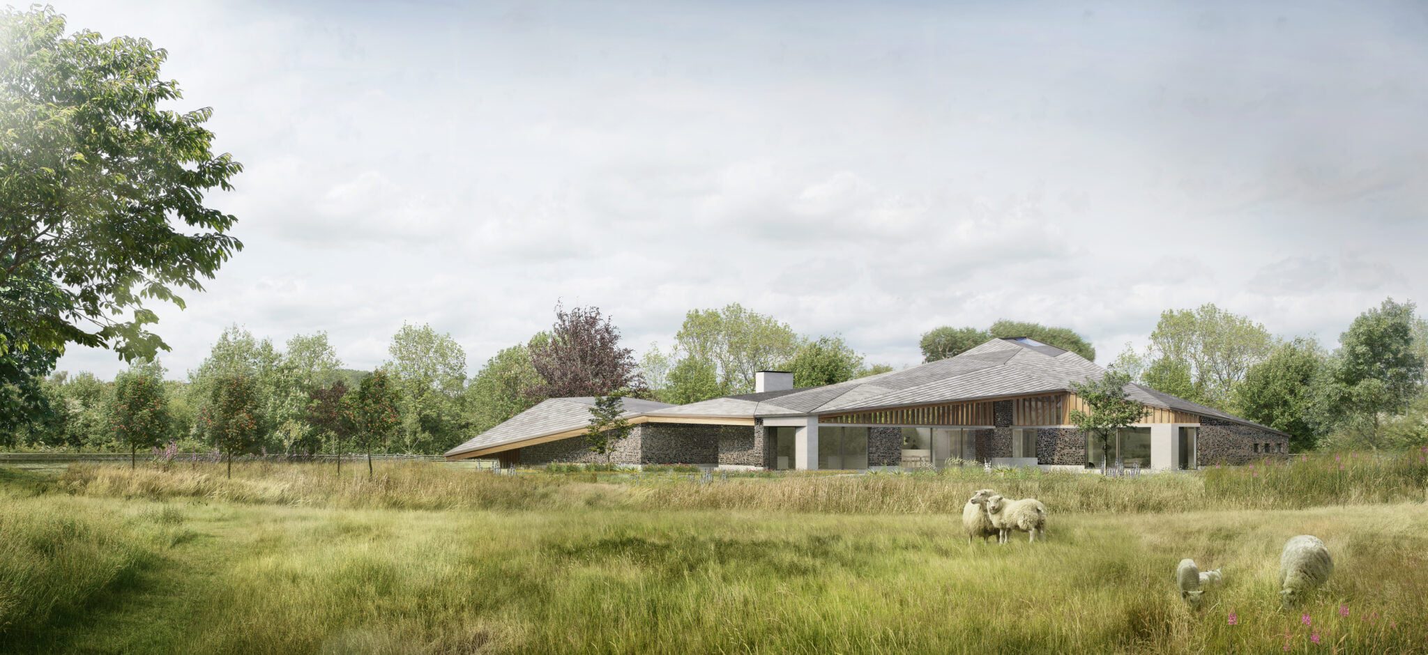 PAD studio - Sustainable & Contemporary Architects Hampshire